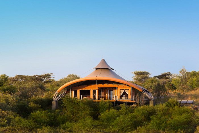 Safari Packages in Kenya: Navigating Kenya's Safari Tapestry ...