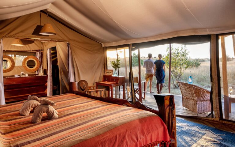 Safari Packages in Kenya: Navigating Kenya's Safari Tapestry ...